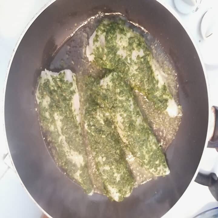 Filets de Poisson Marinés dans sauce Chermoula puis poêlés