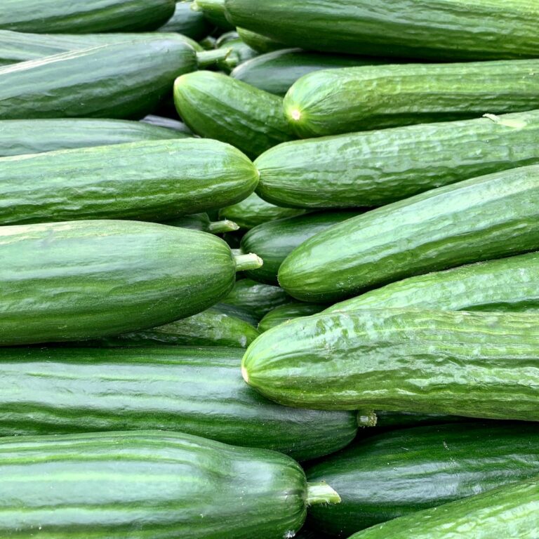 Concombre - ses saveurs, ses variétés et bienfaits